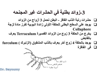 Lect.6 - General Entomolog - Abdomen Appendages | PPSX