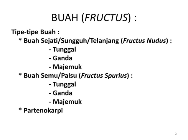 6. buah (fructus) & biji (semen) | PDF