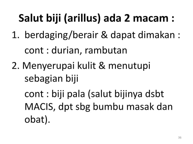 6. buah (fructus) & biji (semen) | PDF