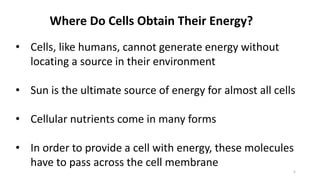 catalyses and the use of energy by cells | PPTX