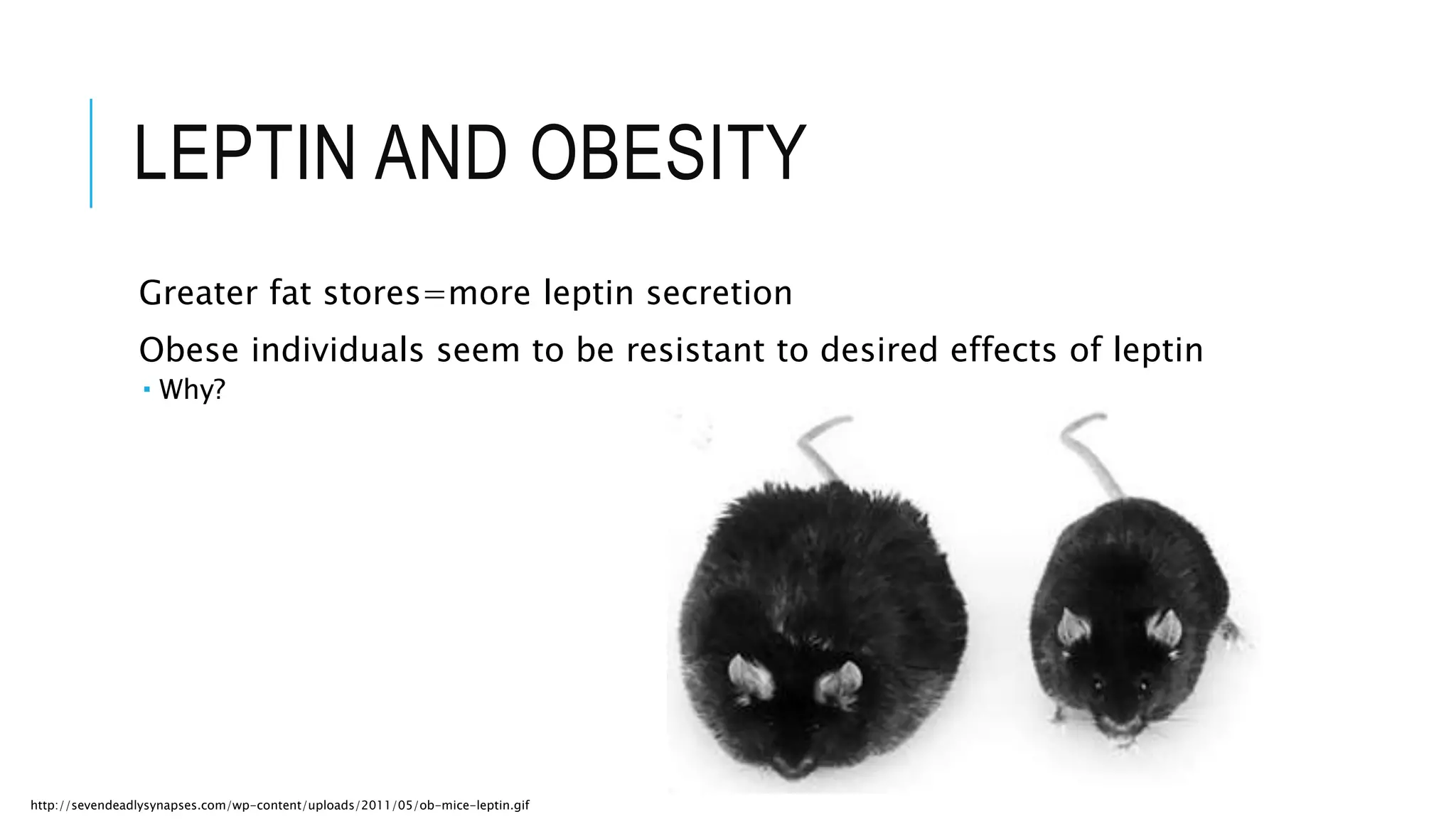 6.6 hormones, homeostasis, and reproduction | PPTX