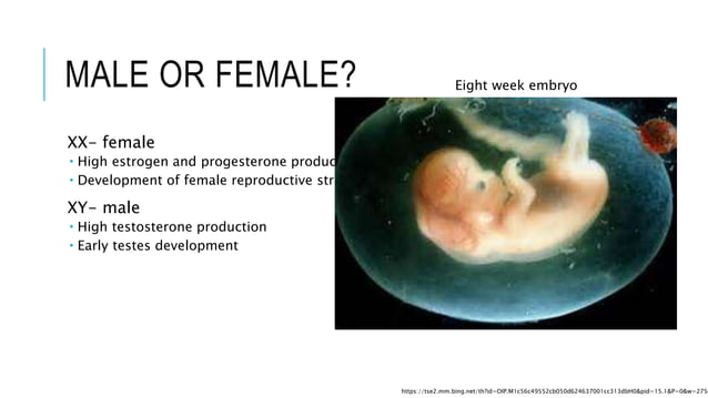 6.6 hormones, homeostasis, and reproduction | PPTX