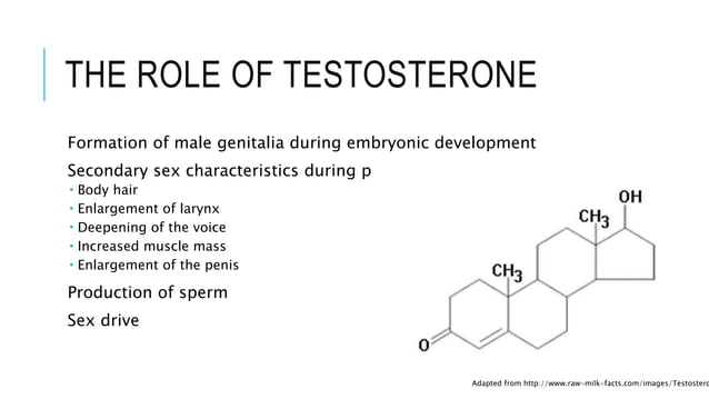 6.6 hormones, homeostasis, and reproduction | PPTX