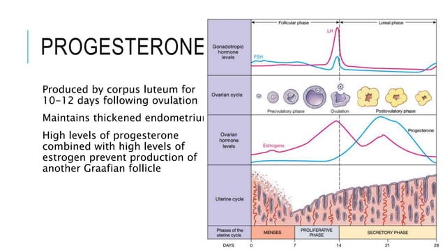 6.6 hormones, homeostasis, and reproduction | PPTX