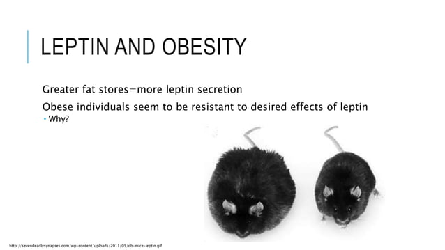 6.6 hormones, homeostasis, and reproduction | PPTX