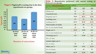 Effect of regulating mating system on sexing of Rahmani lambing | PPT