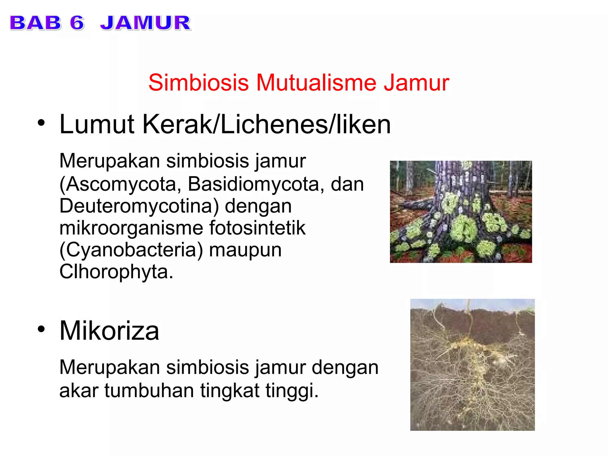 BIOLOGI fungi | PPT