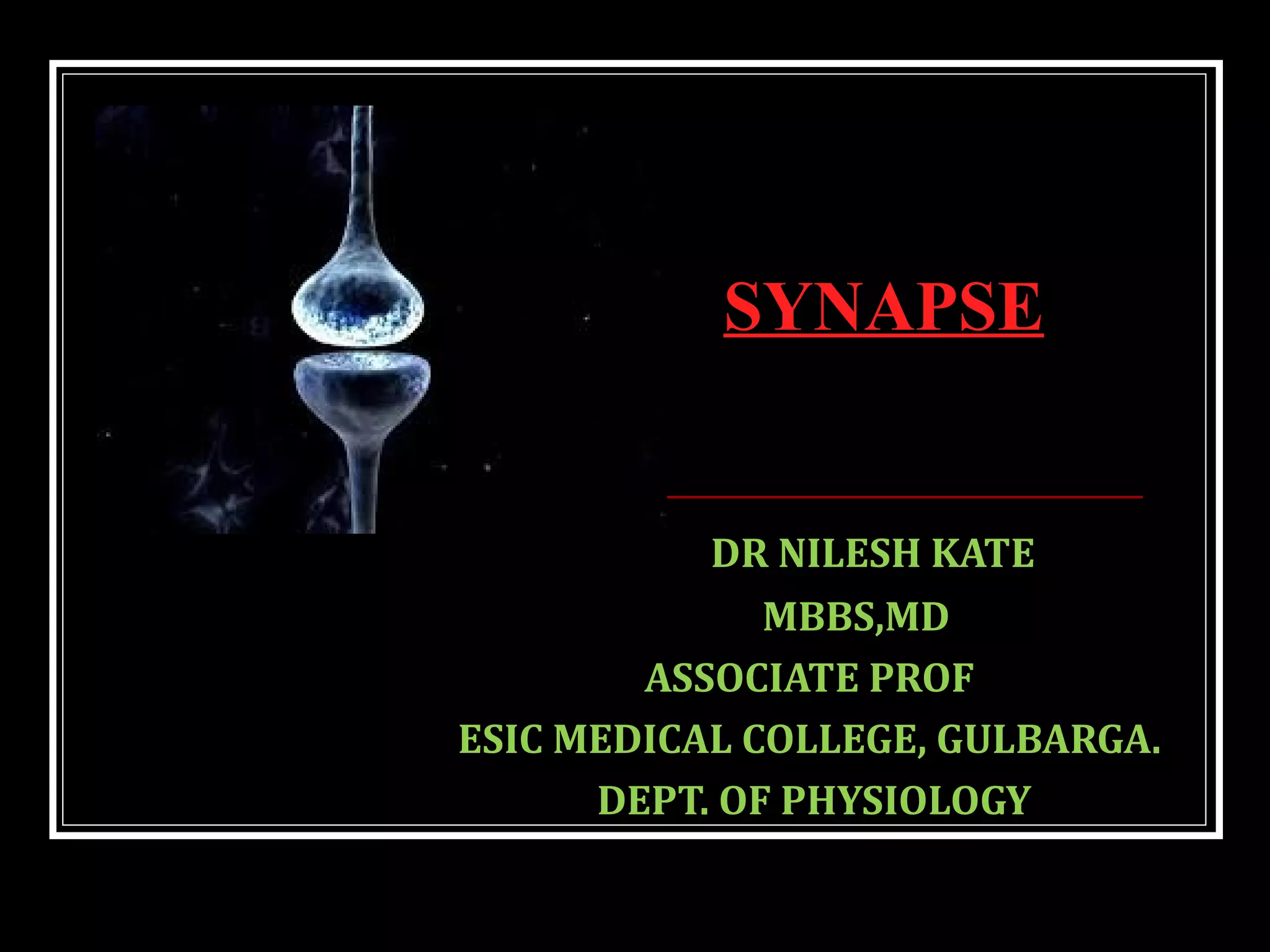 SYNAPSE | PPT
