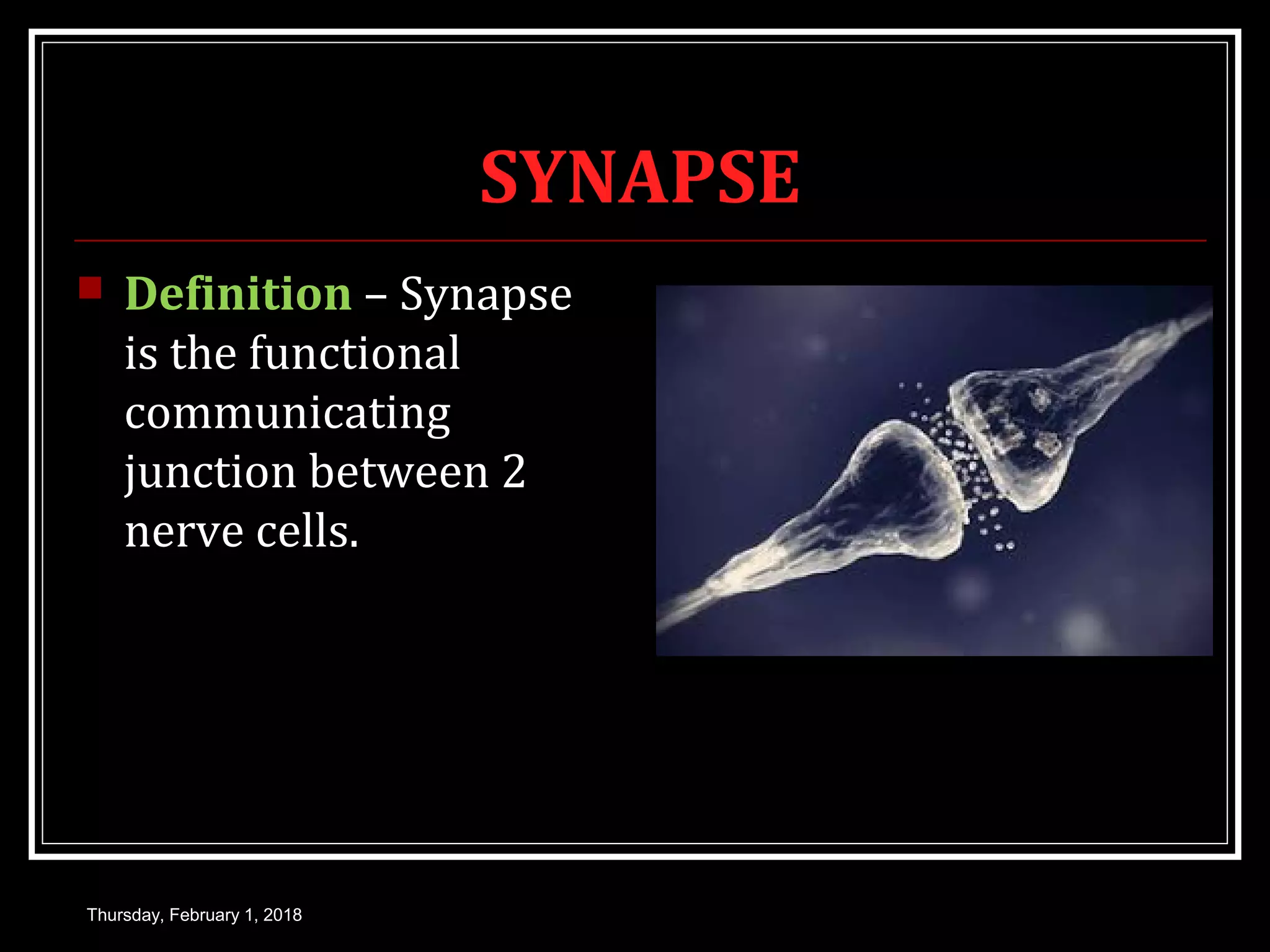 SYNAPSE | PPT