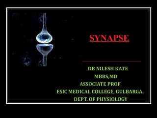 SYNAPSE | PPT