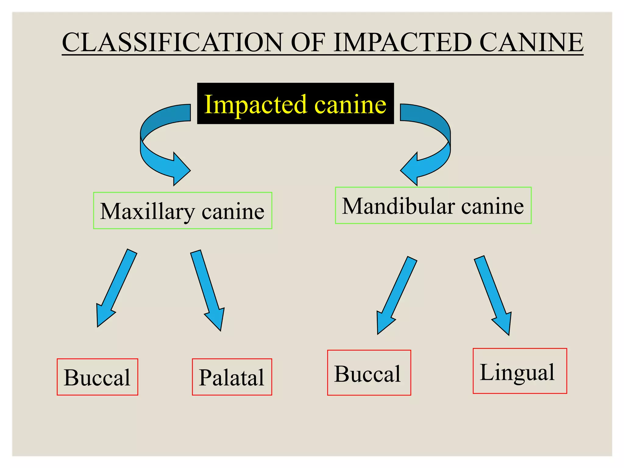 orthodontic management of impacted canine. | PPTX
