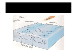 UPWELLING | PDF