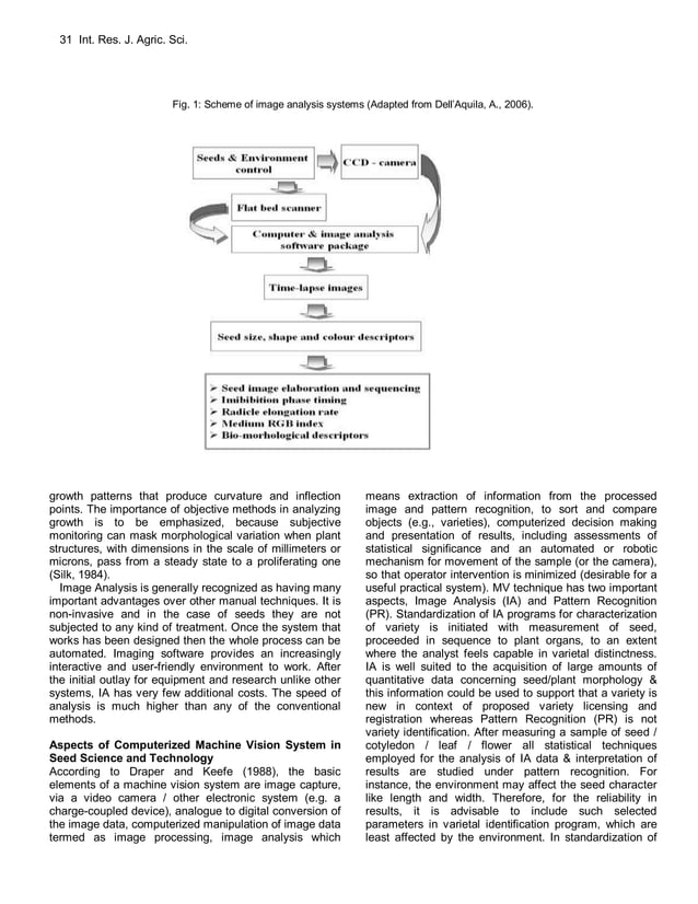 SEED IMAGE ANALYSIS | PDF | Photo Editing Software | Computer Software and Applications