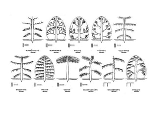 5. Arsitektur Pohon | PDF