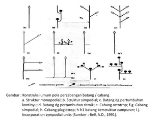 5. Arsitektur Pohon | PDF
