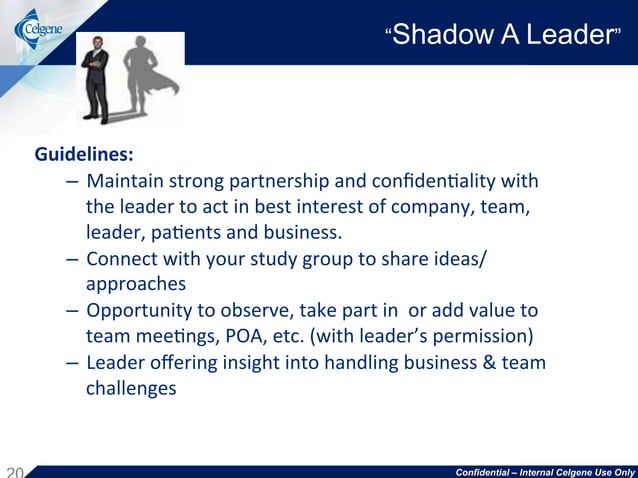 SHADOW A LEADER – AN INNOVATIVE CAPSTONE APPROACH FOR YOUR HIPO ...