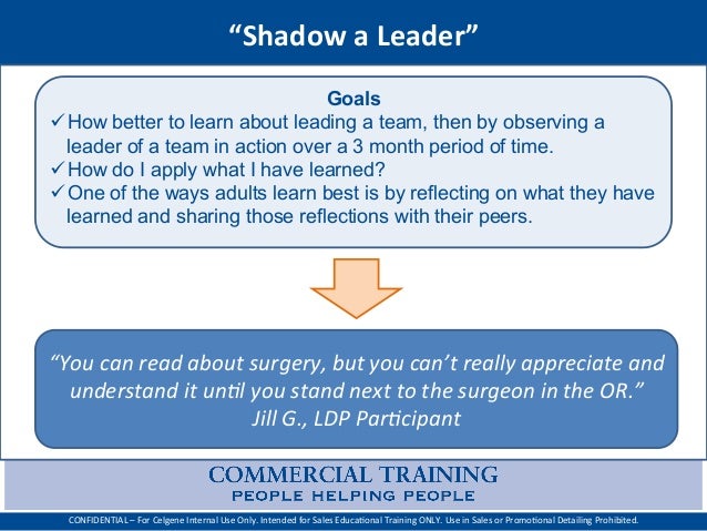 SHADOW A LEADER – AN INNOVATIVE CAPSTONE APPROACH FOR YOUR HIPO LEADE…