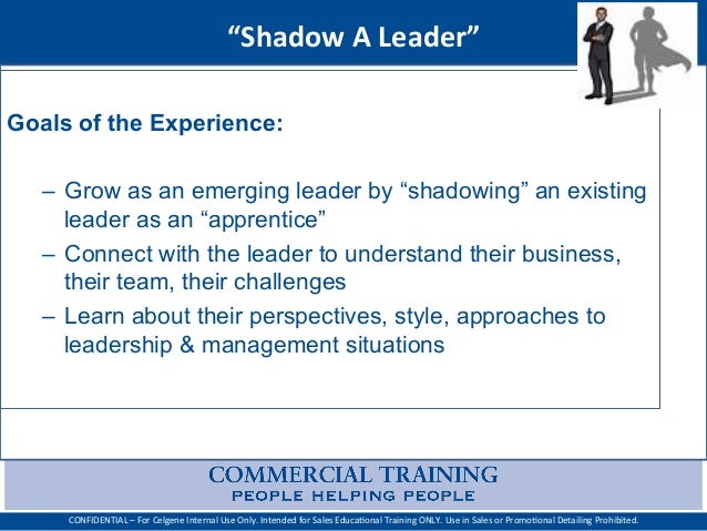 SHADOW A LEADER – AN INNOVATIVE CAPSTONE APPROACH FOR YOUR HIPO LEADE…