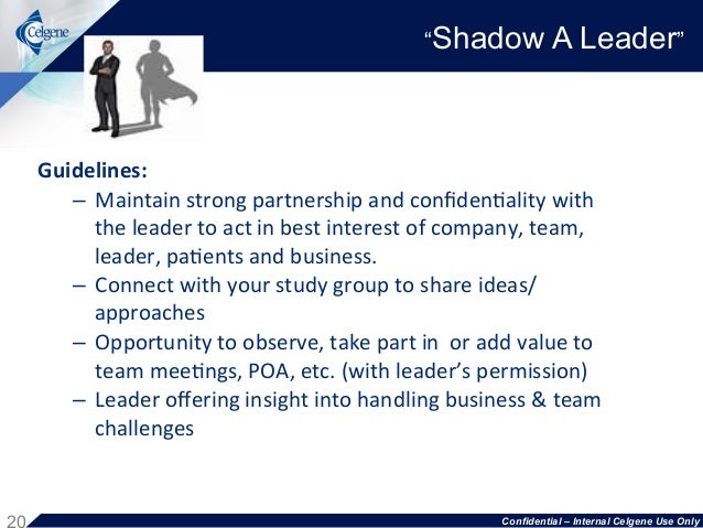 SHADOW A LEADER – AN INNOVATIVE CAPSTONE APPROACH FOR YOUR HIPO LEADE…