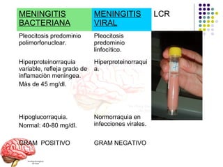 6.clase meningoencefalitis bacteriana | PPT