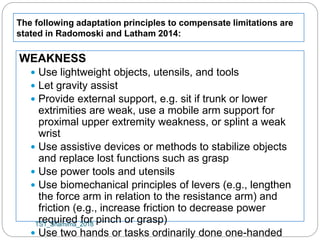 adaptation in activity | PPTX