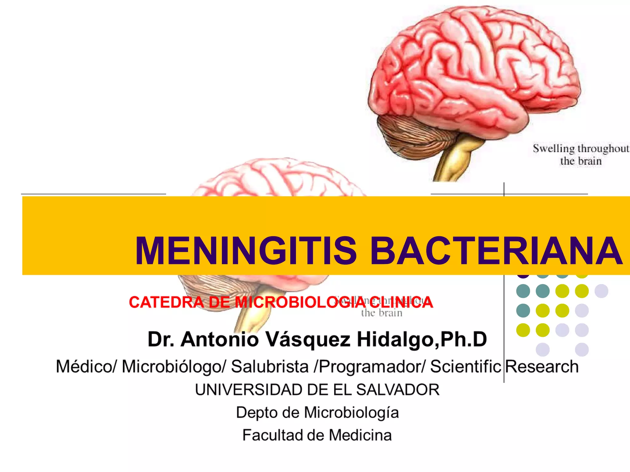 6.clase meningitis bacteriana | PPT