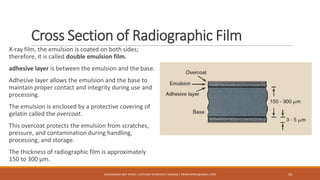 Screen Film Radiography | PDF