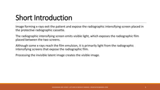 Screen Film Radiography | PDF