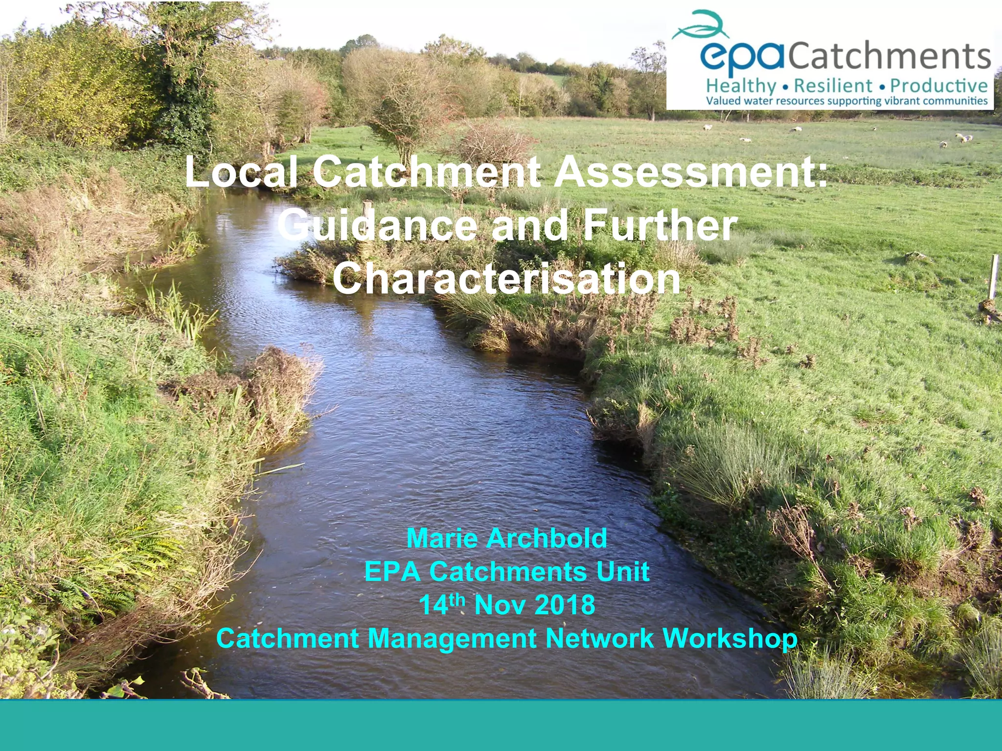 6. Local Catchment Assessment: guidance and further characterisation ...