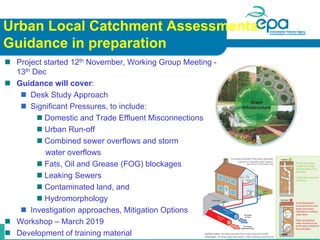 6. Local Catchment Assessment: guidance and further characterisation ...