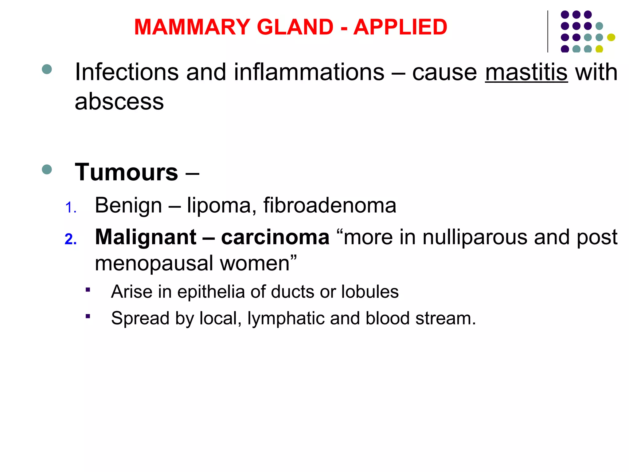 6. mammary gland | PPT