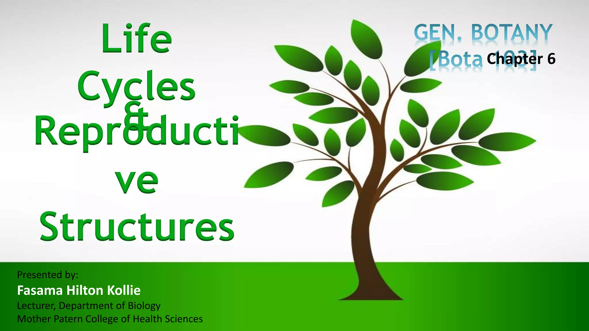 Life Cycle and Reproductive Structure | PPTX