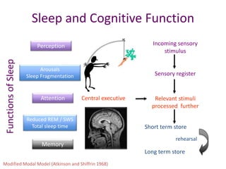 6.1 Mary Morrell | PPTX