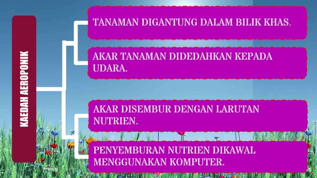penapaian dan penyejukan | PPT