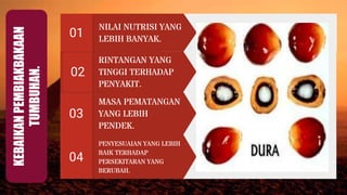 penapaian dan penyejukan | PPT