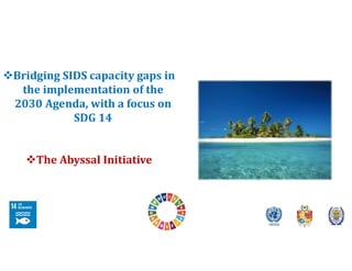 6. s. navoti and m. bourrel abyssal initiative | PPT