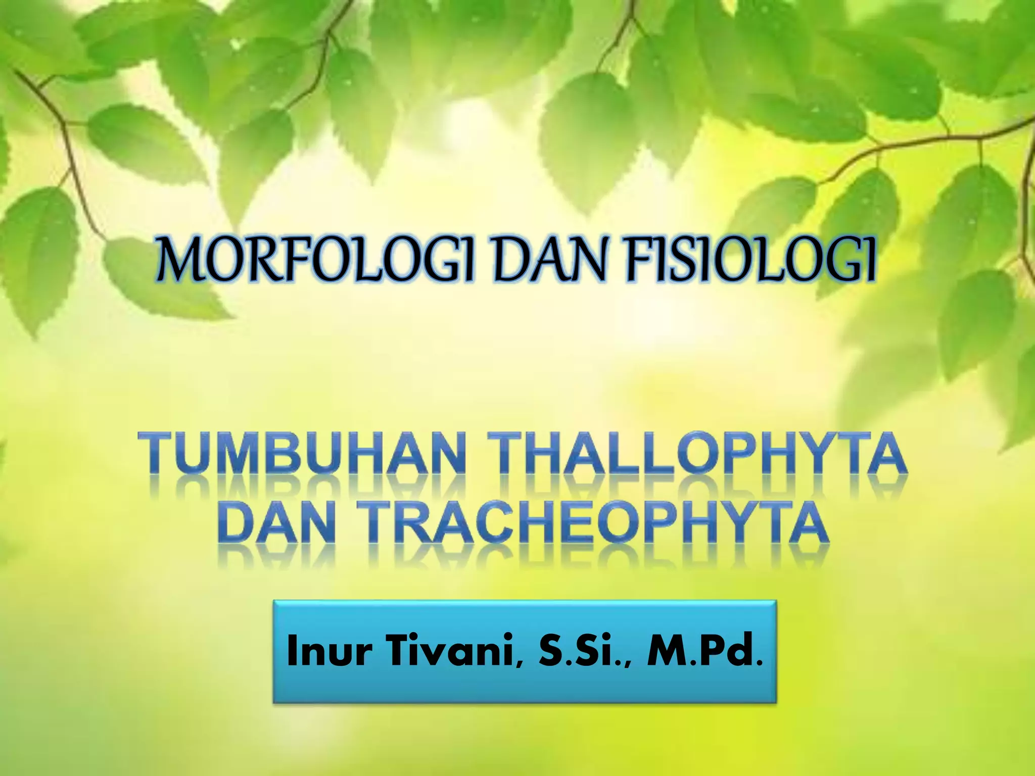 TUMBUHAN THALLOPHYTA DAN TRACHEOPHYTA | PPTX