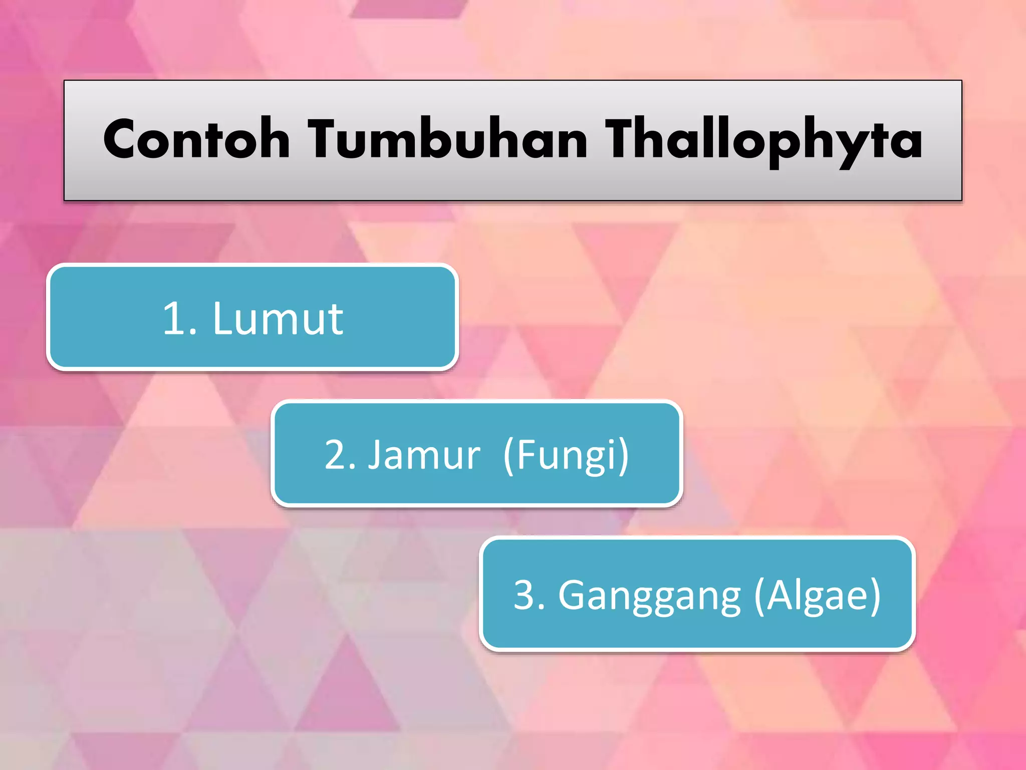 TUMBUHAN THALLOPHYTA DAN TRACHEOPHYTA | PPTX