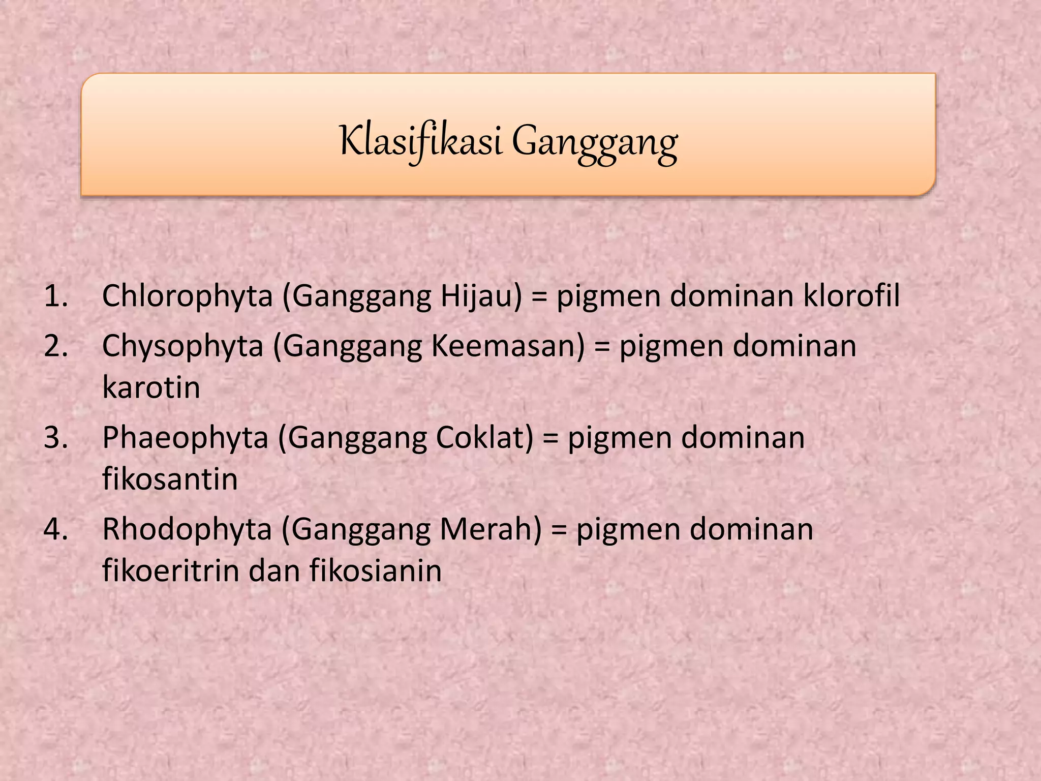 TUMBUHAN THALLOPHYTA DAN TRACHEOPHYTA | PPTX
