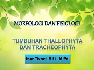 TUMBUHAN THALLOPHYTA DAN TRACHEOPHYTA | PPTX