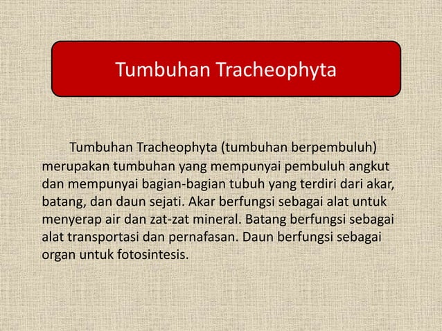TUMBUHAN THALLOPHYTA DAN TRACHEOPHYTA | PPTX