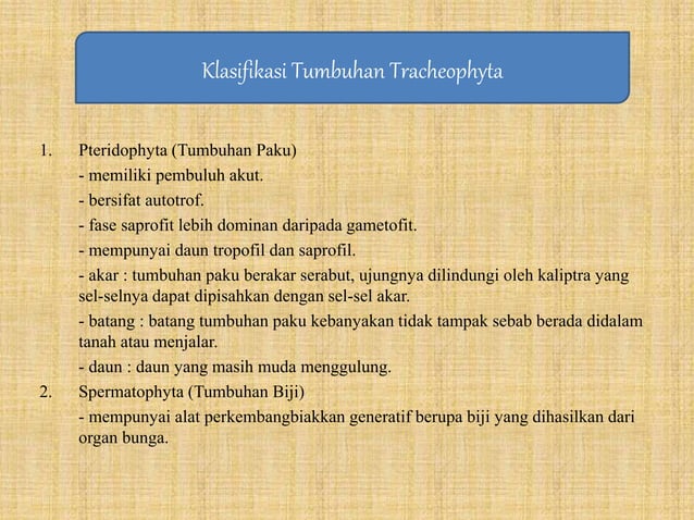 TUMBUHAN THALLOPHYTA DAN TRACHEOPHYTA | PPTX