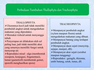 TUMBUHAN THALLOPHYTA DAN TRACHEOPHYTA | PPTX
