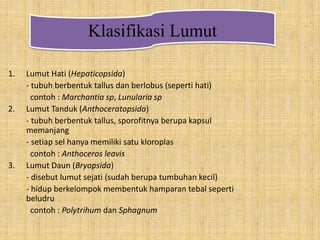 TUMBUHAN THALLOPHYTA DAN TRACHEOPHYTA | PPTX