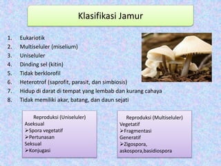 TUMBUHAN THALLOPHYTA DAN TRACHEOPHYTA | PPTX