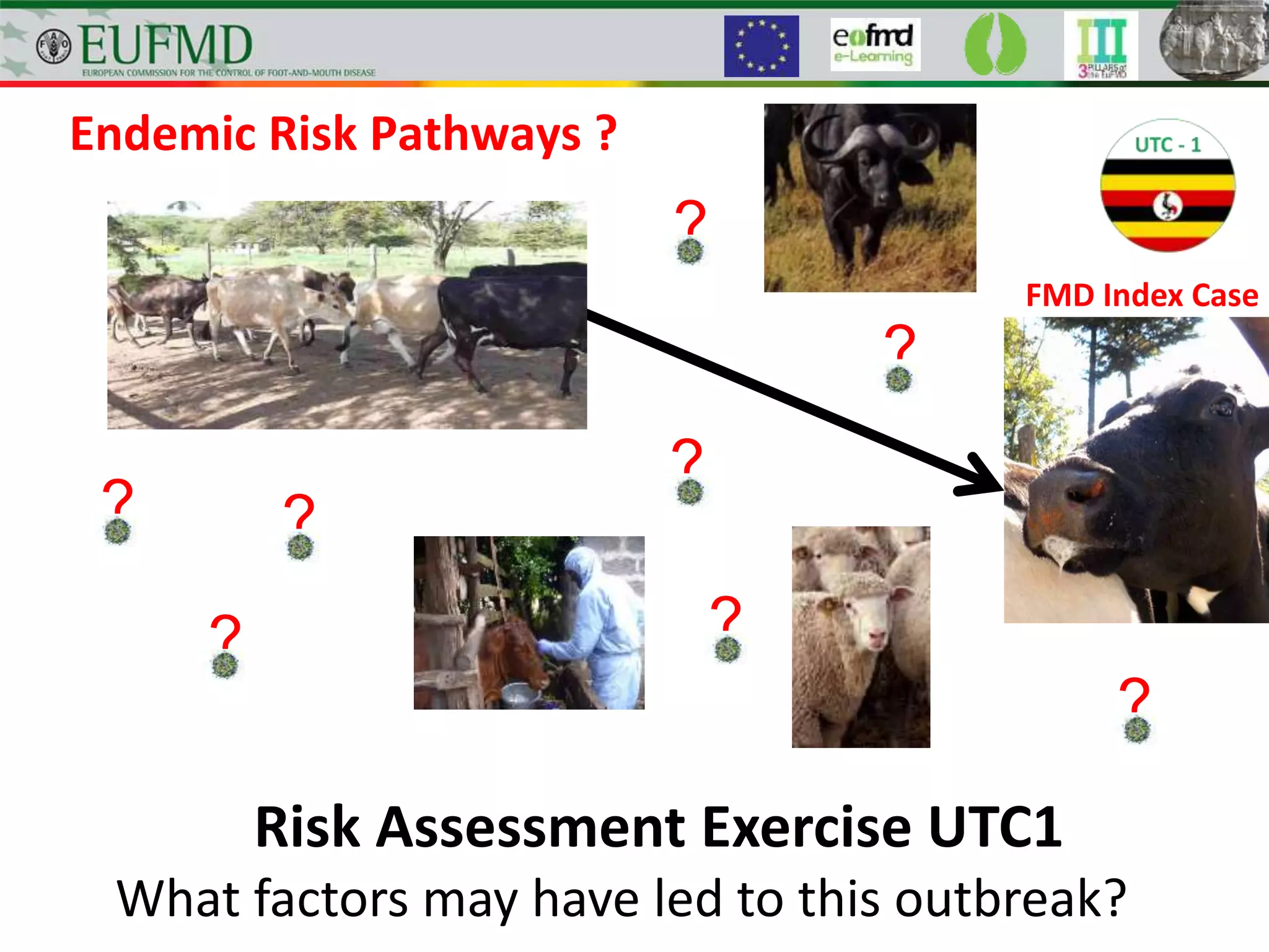 Fmd transmission Uganda Training Course | PPTX