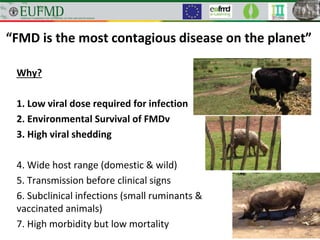 Fmd transmission Uganda Training Course | PPTX | Infectious Diseases ...