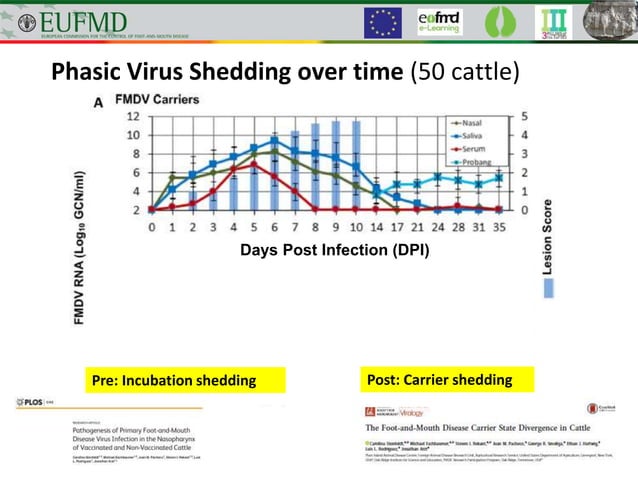 Fmd transmission Uganda Training Course | PPT