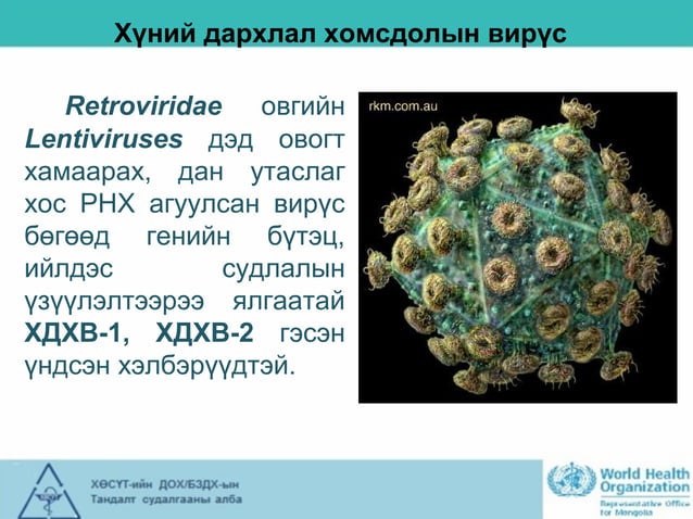 6 ХДХВ ийн халдвар дамжих зам эрсдэл нөлөөлөх хүчин зүйл