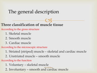 6. general muscle morphology lecture 1 | PPTX